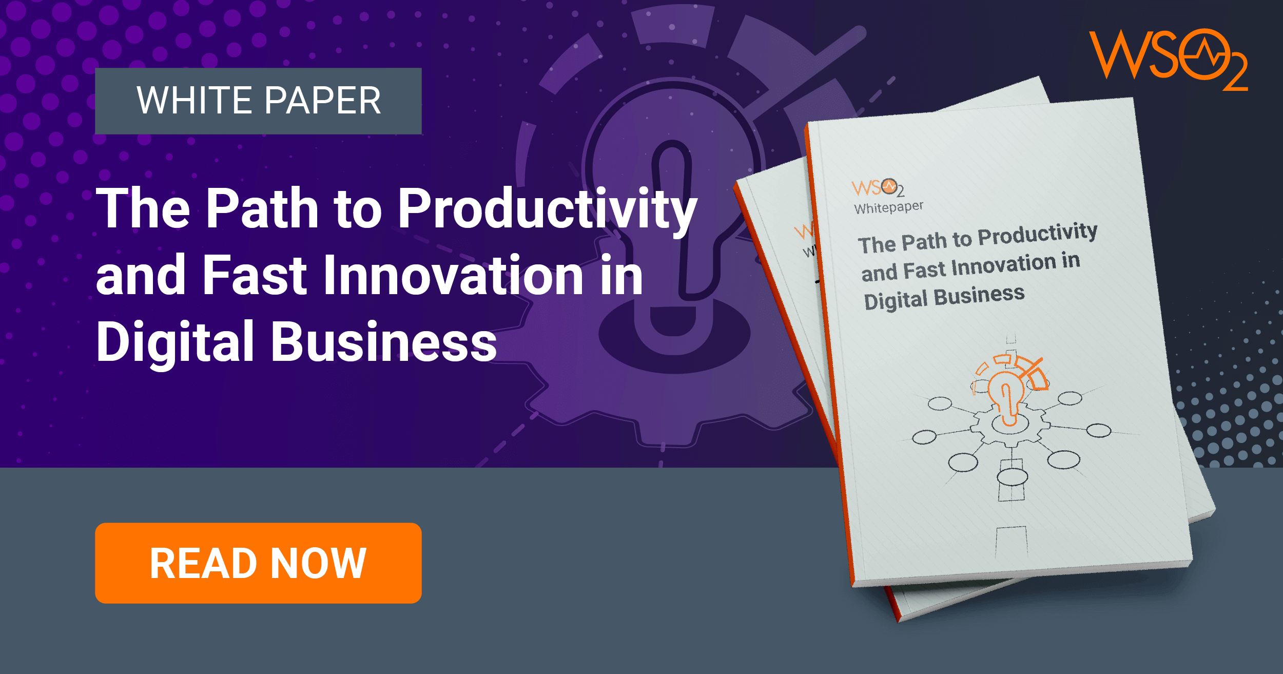 The Path to Productivity and Fast Innovation in Digital Business