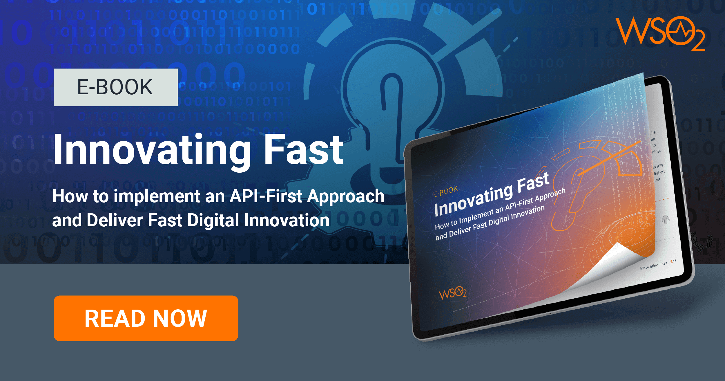 Innovating Fast: Practical Ways to Implement and Deliver an API-First ...