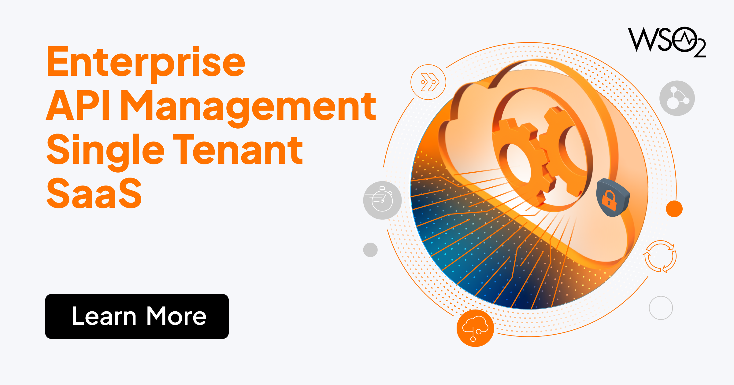 Enterprise API Management, Single-tenant SaaS